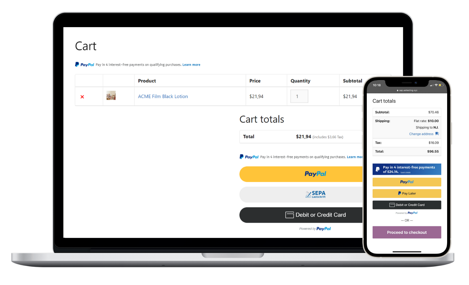 PayPal Complete Payments - AngellEYE PayPal Complete Payments - AngellEYE